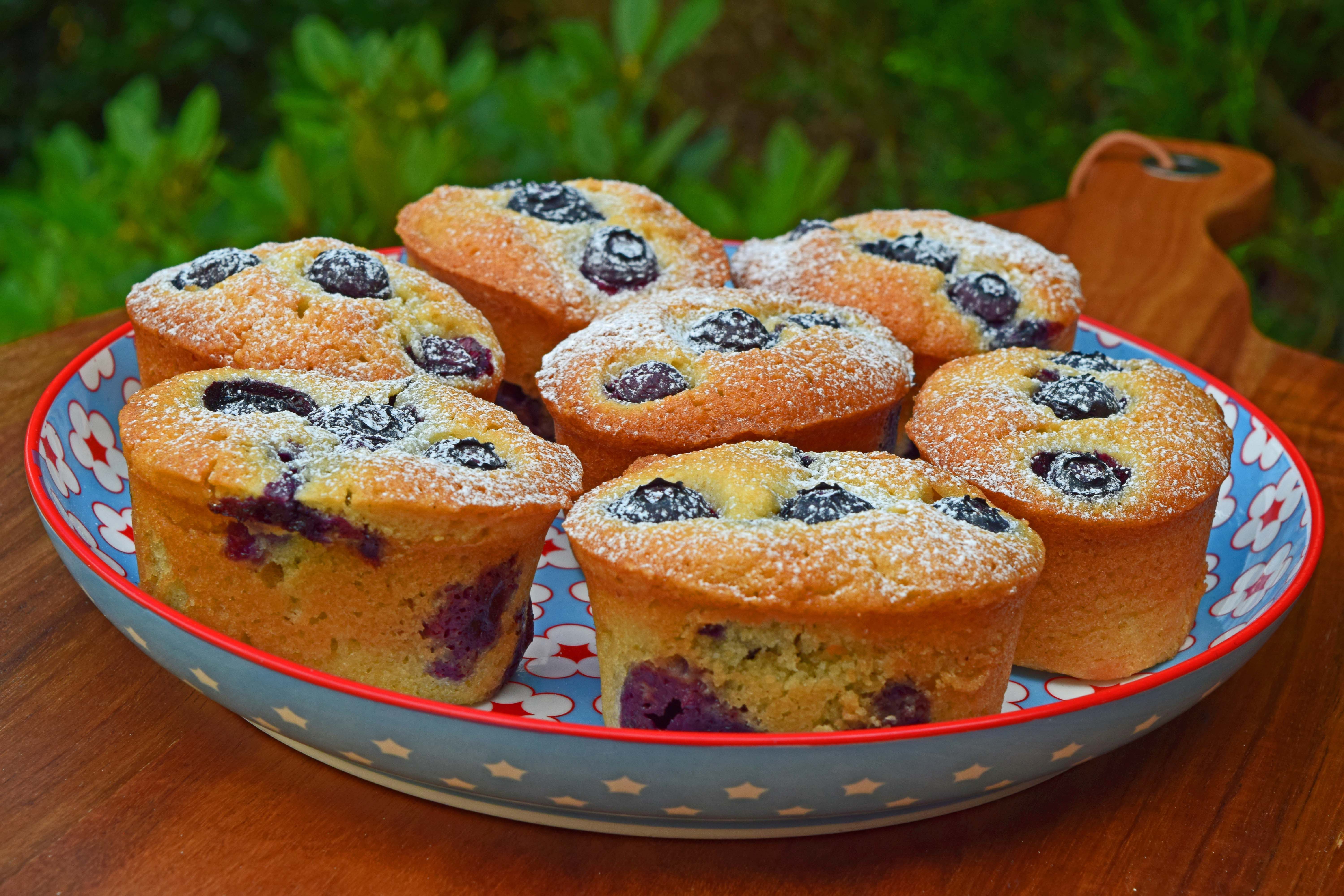 Blueberry and Lemon Friands | Seasalt & Apple Pie